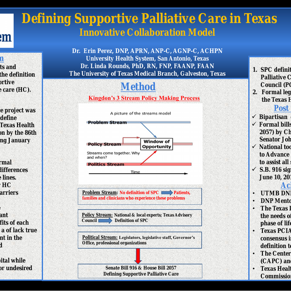 Defining Supportive Palliative Care in Texas | 2019 Seminar Posters ...