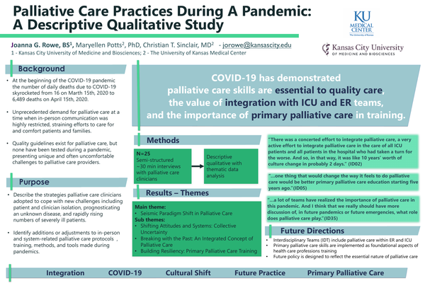 The Impact of COVID-19 on Palliative Care: A Qualitative Descriptive ...