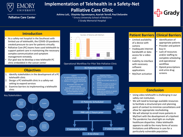 Implementation of Telehealth in a Safety-Net Palliative Care Clinic ...