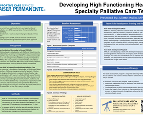 Palliative Care Seminar Posters | Center to Advance Palliative Care